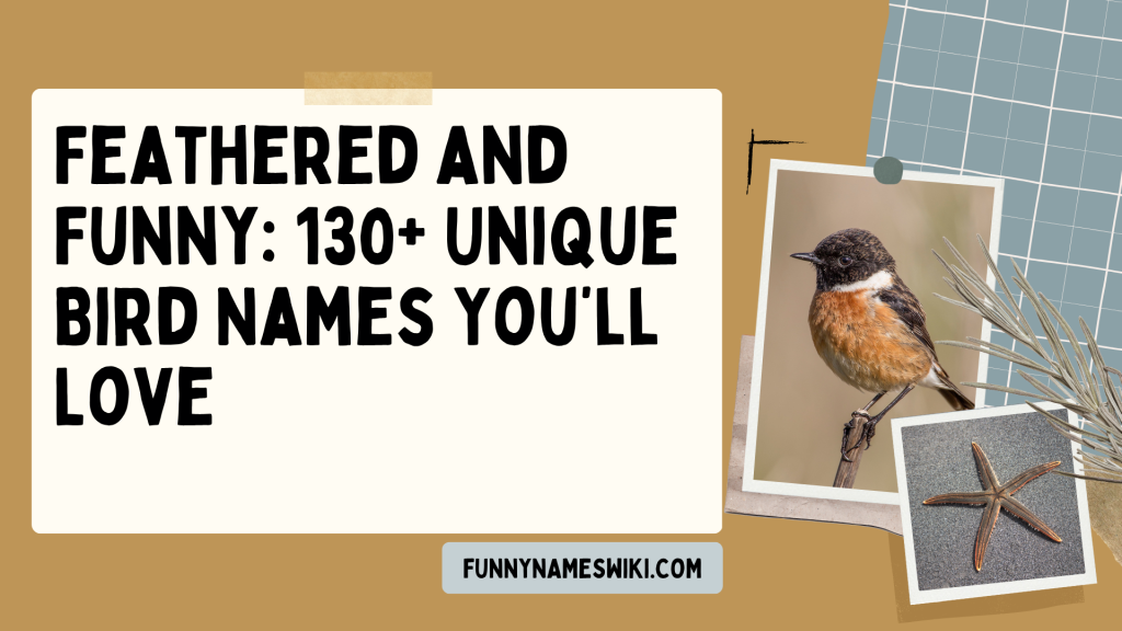 Feathered and Funny: 130+ Unique Bird Names You’ll Love – Funny Names Wiki