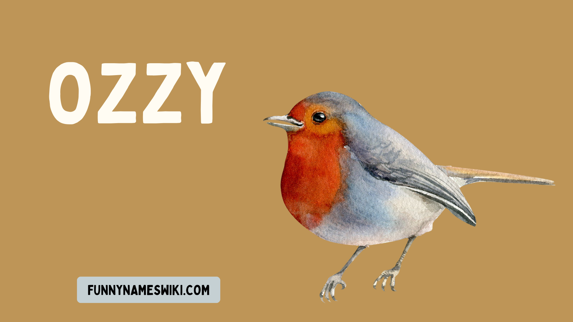 Feathered and Funny: 130+ Unique Bird Names You’ll Love – Funny Names Wiki