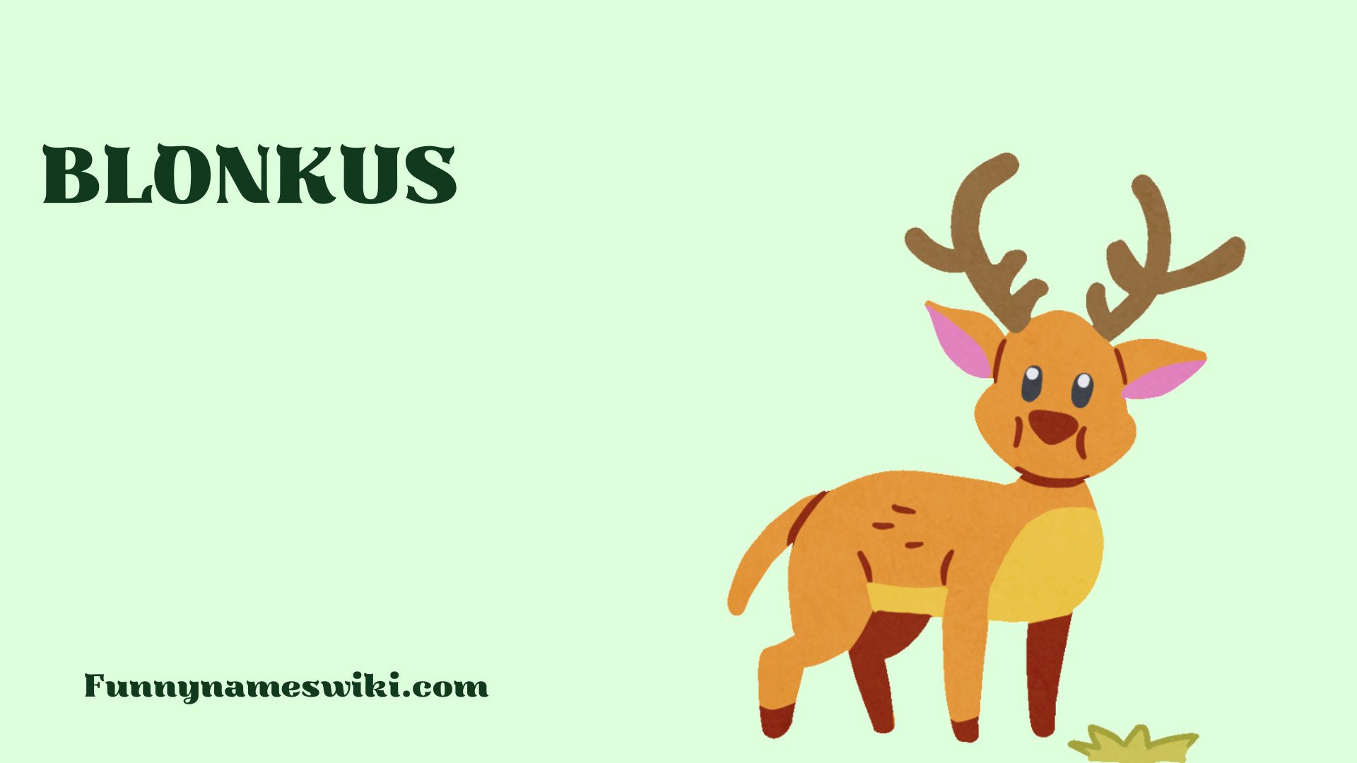 205+ Hilarious Animal Names That’ll Have You Howling – Funny Names Wiki